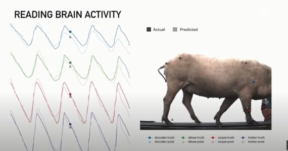 neuralink-reading-brain-activity - SuperToast